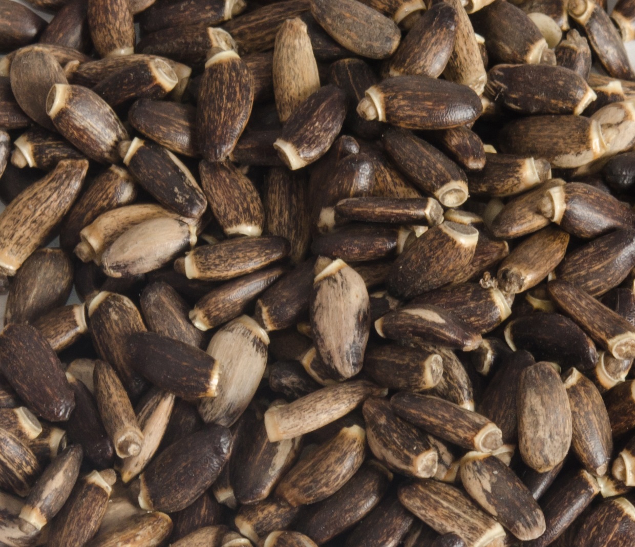 Lady Thistle Oil | Flavour Chemical and Vegetable Oils